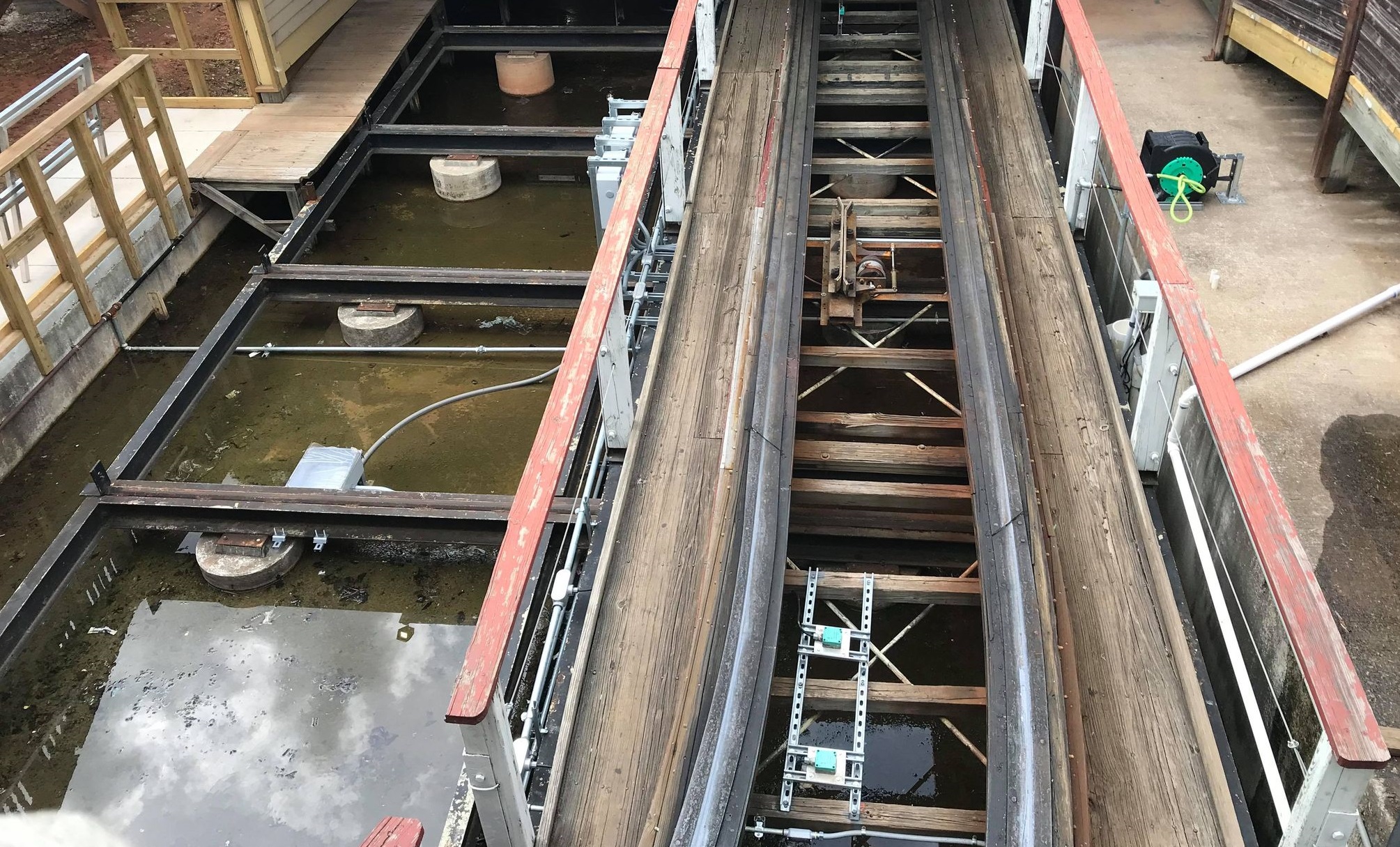 A Wildcat appears in the backwoods :the second part of the story of how ...